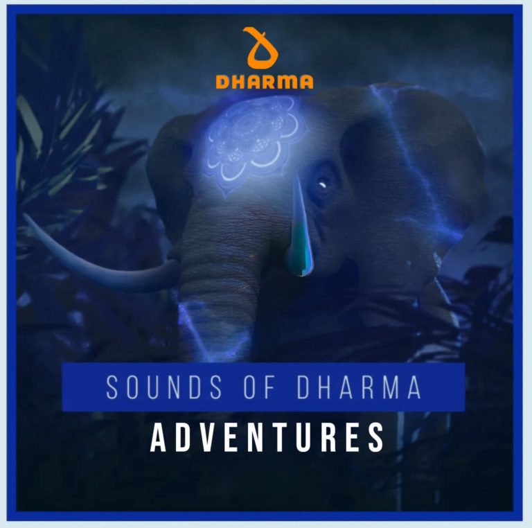 Adventures - Dharma Studio