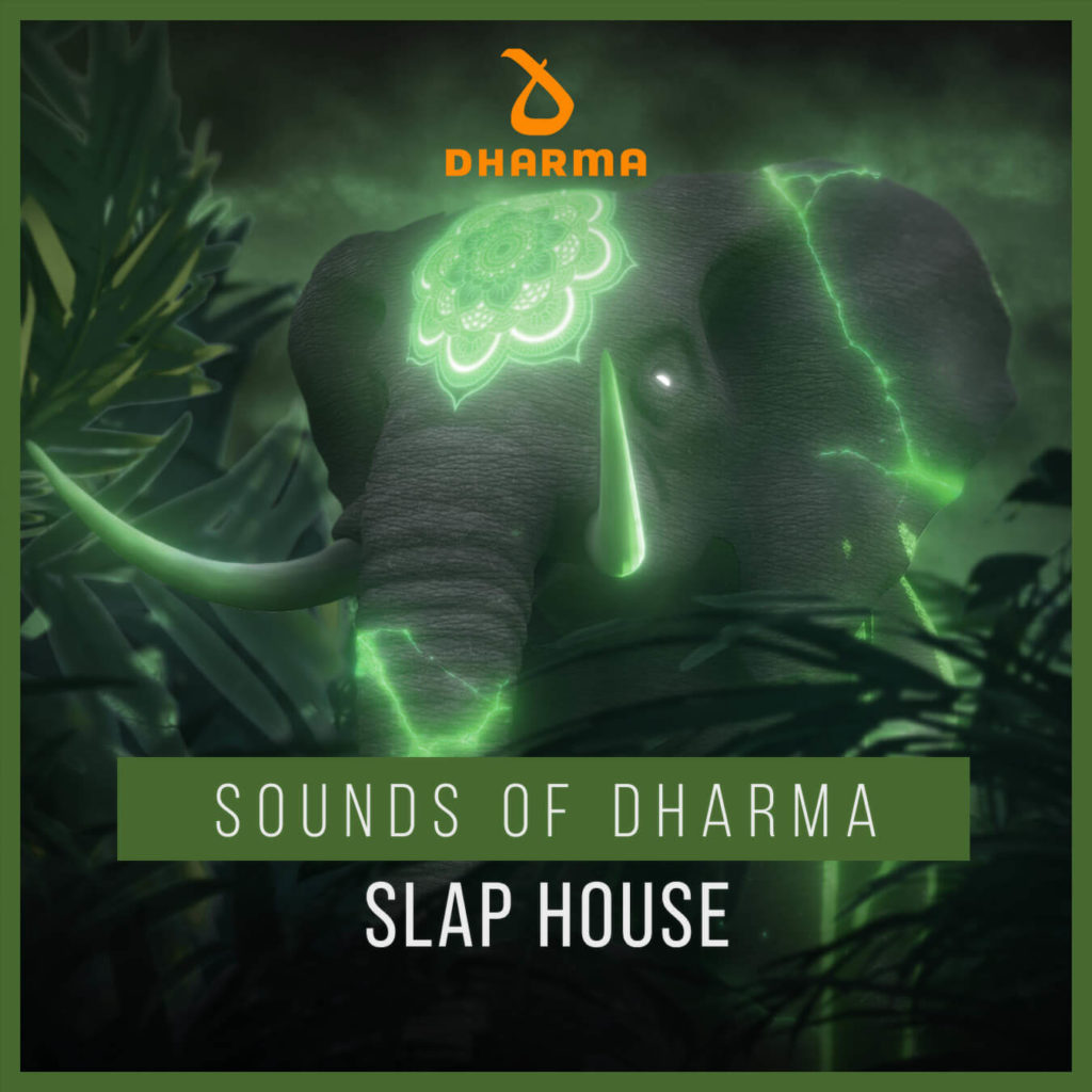 Slap House - Dharma Studio